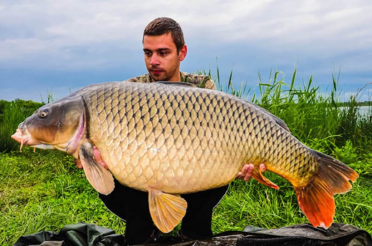 Pescuit la crap - Raduta Lake